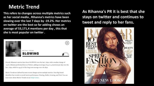 Audience Demographics - Rihanna | PPTX | Celebrity Relationships | Pop Culture
