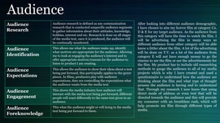 Audience Demographic | PPTX
