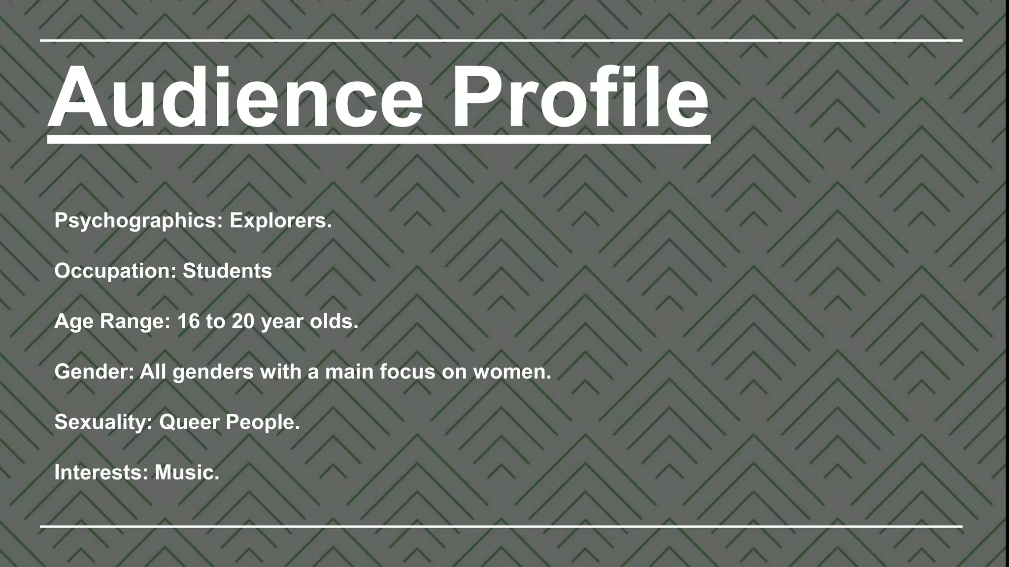 audience profile.pptx