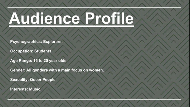 audience profile.pptx