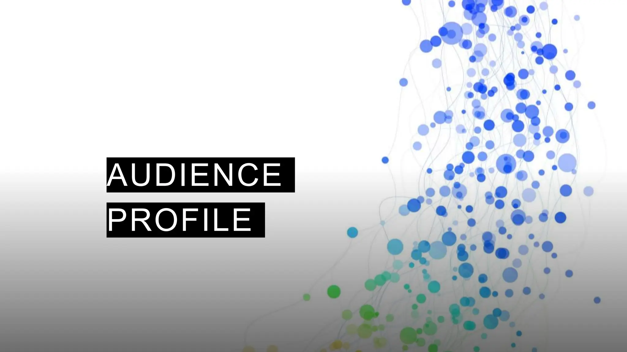 Audience Profile.pptxxxxxxxxxxxxxxxxxxxxxxxxxxxxxxx | PPTX
