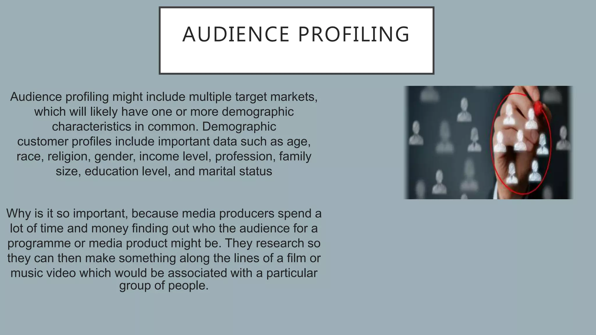 Audience profiling roze | PPT