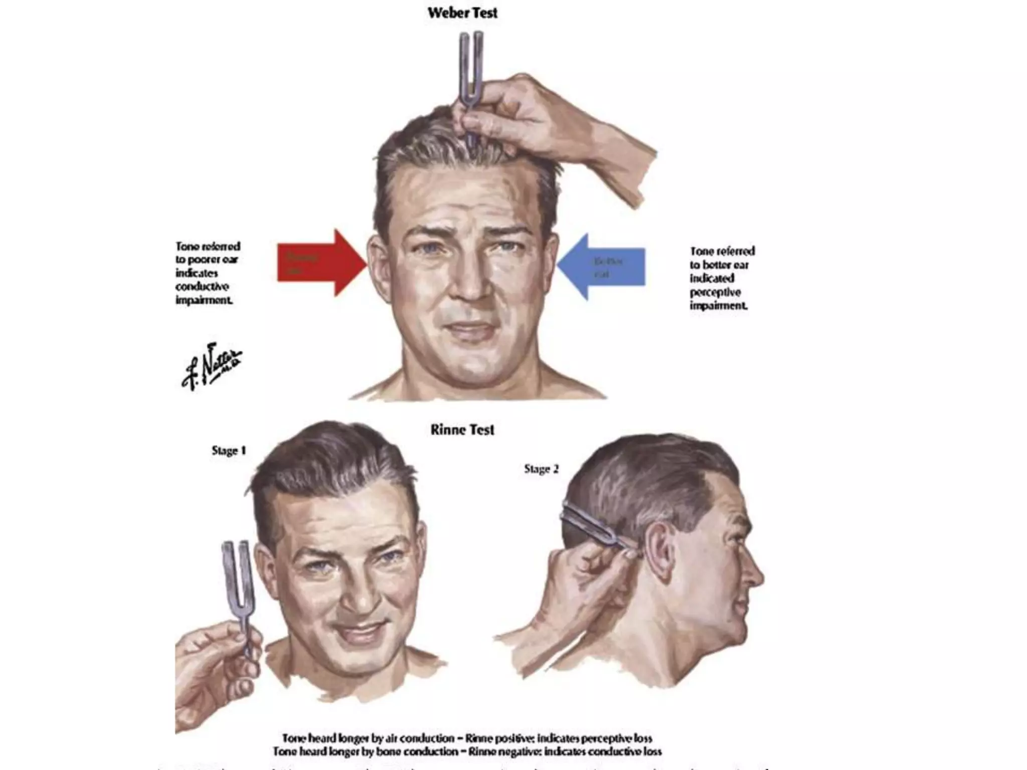 Audilogical Assessment.pptx