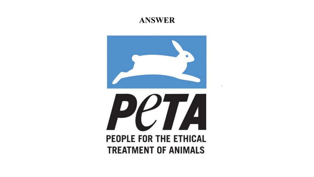 Audio visual round | PPTX