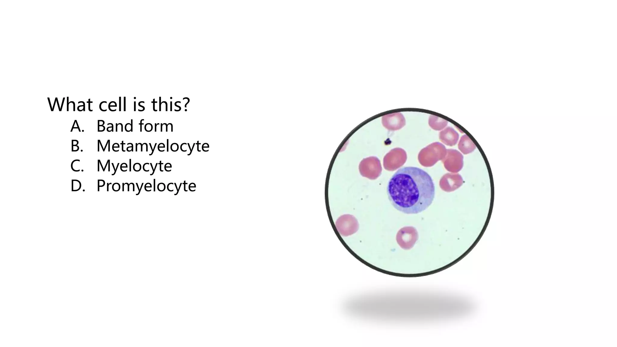 Audio- Visual Round.pptx | Heart and Cardiovascular Diseases | Diseases ...