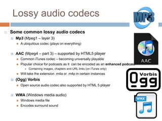 Audio encoding principles | PPTX | Digital Audio | Computer Software and Applications