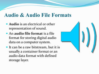 Audio format | PPTX | Digital Audio | Computer Software and Applications