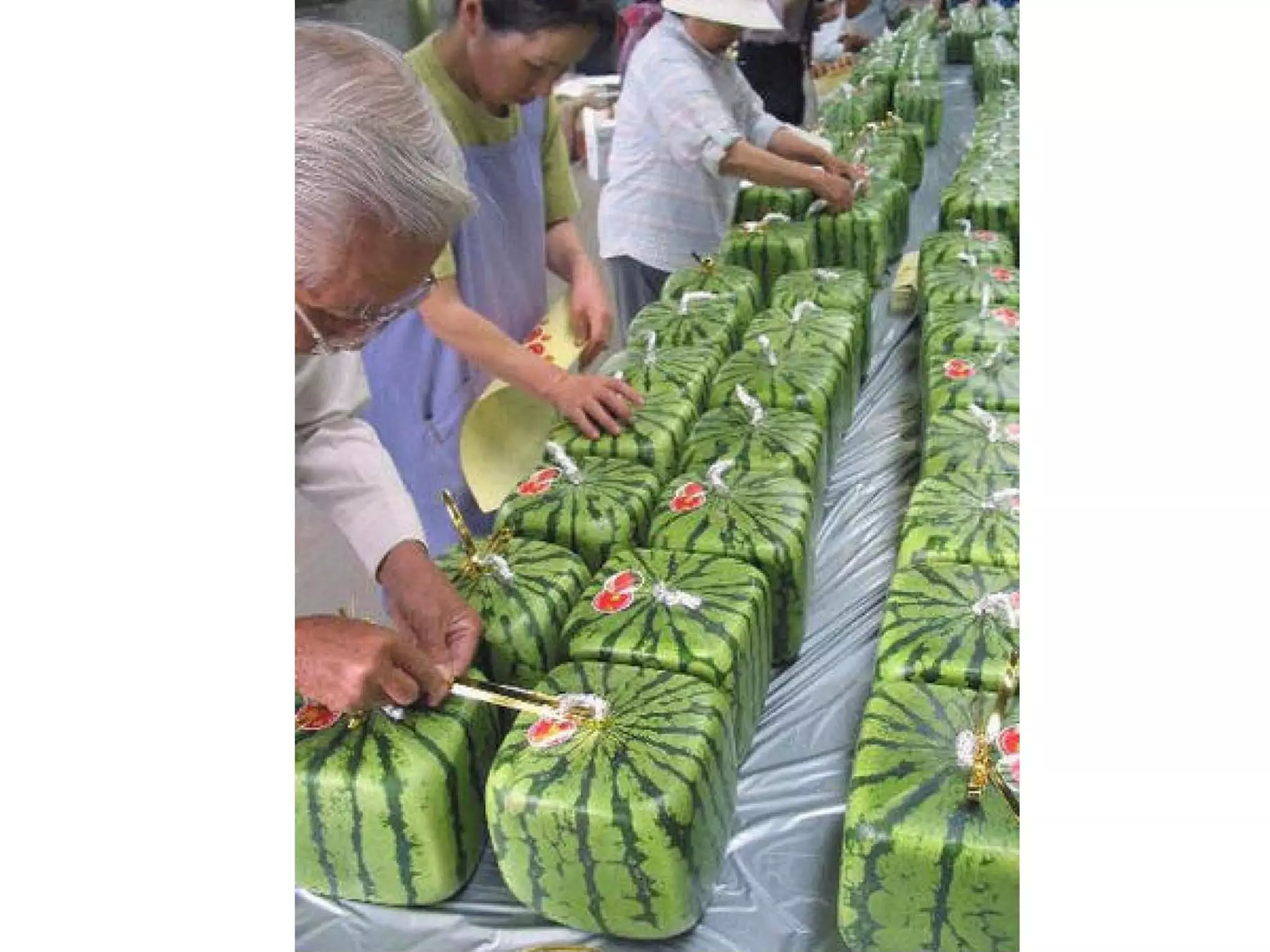 Audiogram & Tympanogram | PPT