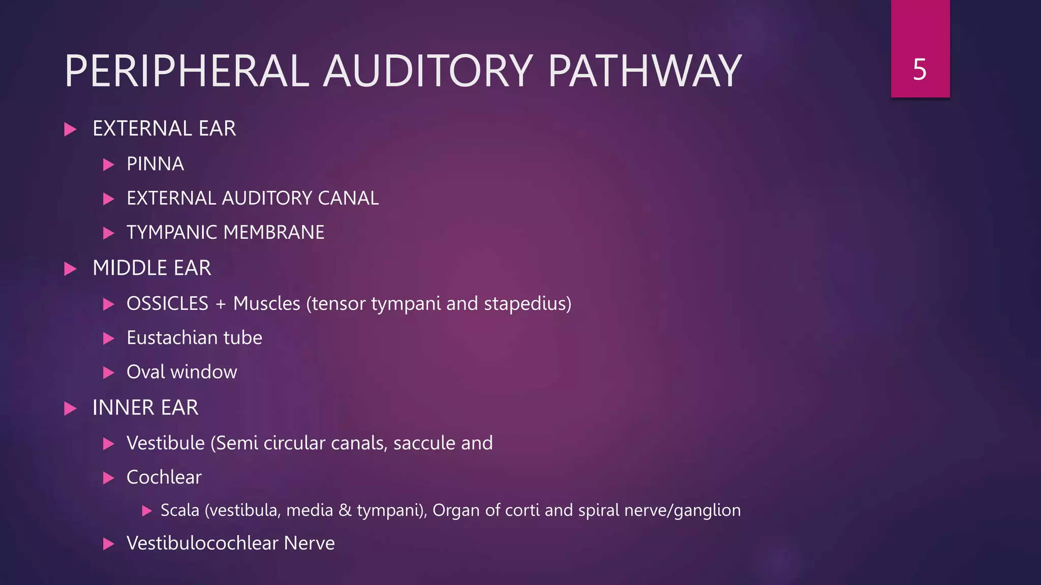 Audiology Processing Notes.pptx