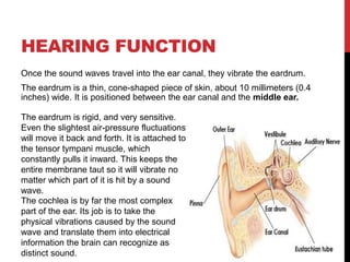 Audio visual system principles #1 | PPSX