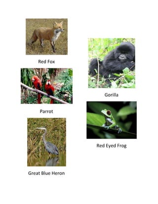 Audio worksheet | DOCX