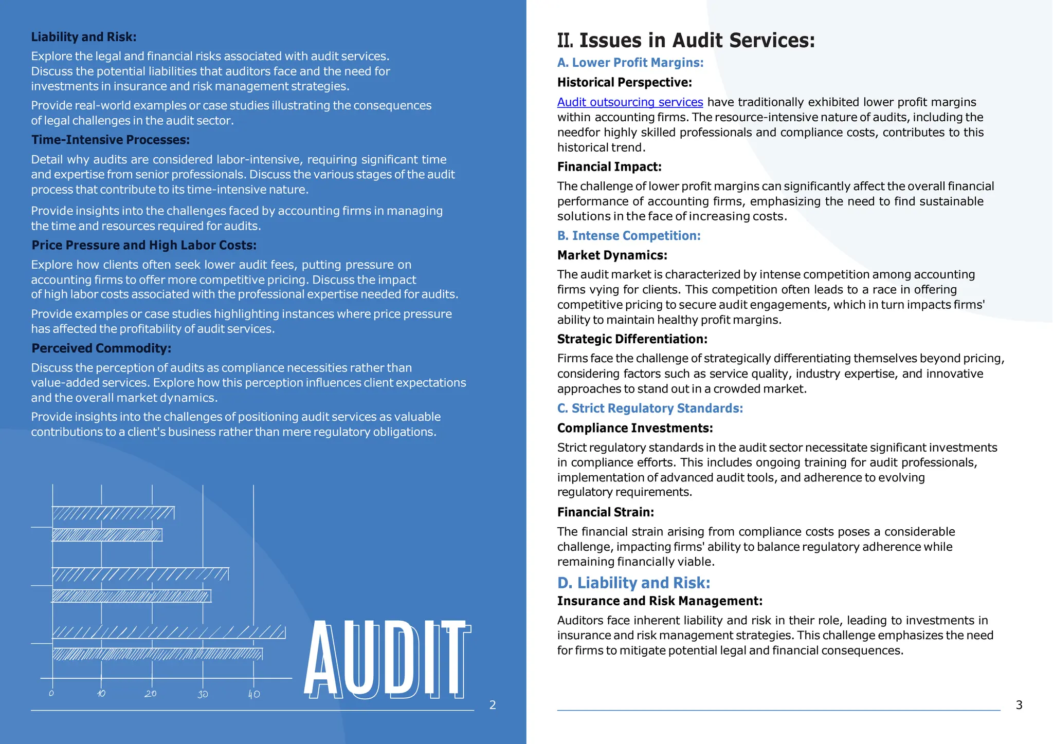 Audit Outsourcing Services for Accounting | PDF