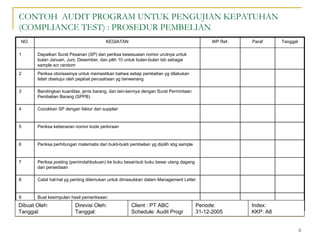 Audit Program 2 | PPT