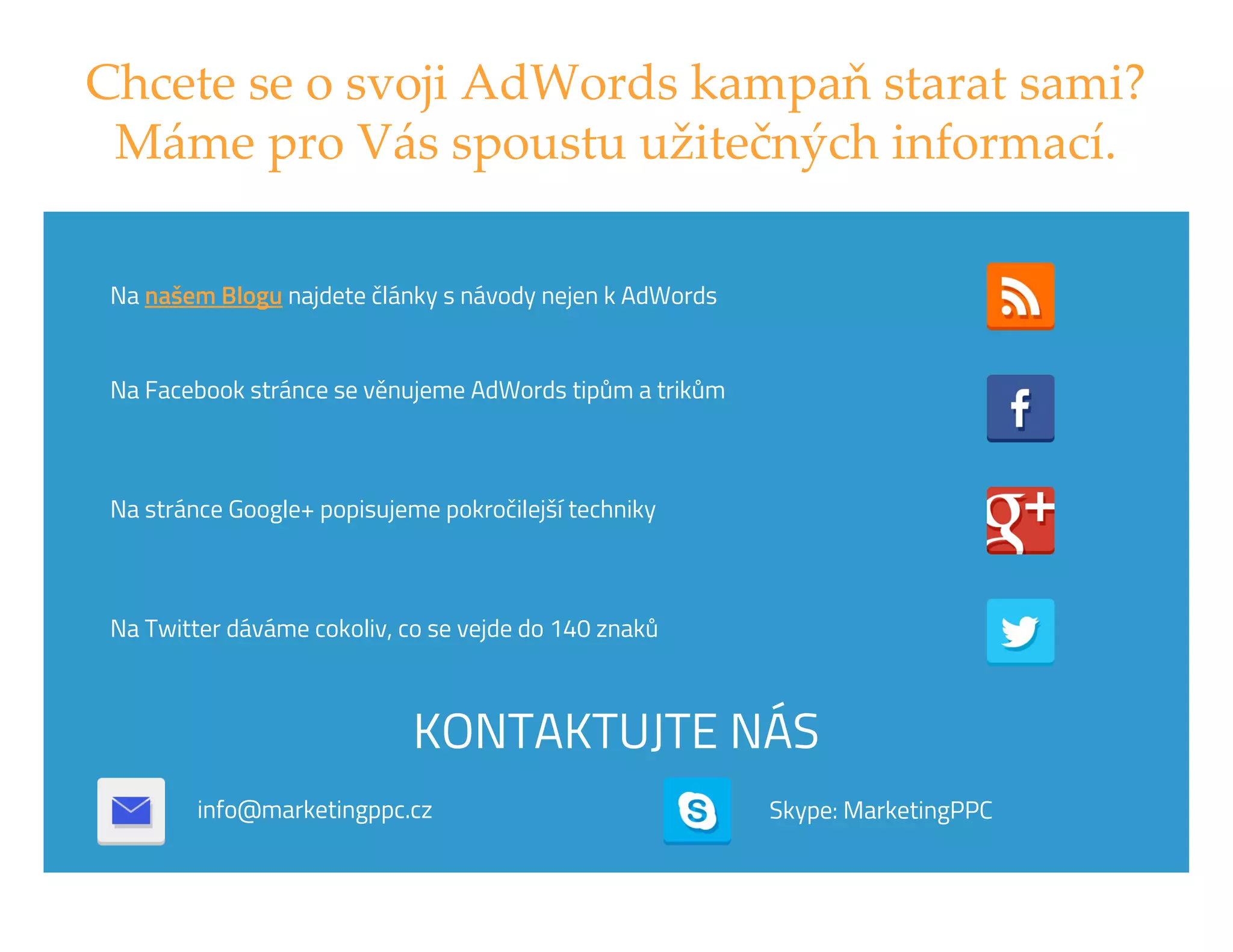 Vzor AdWords auditu | PDF