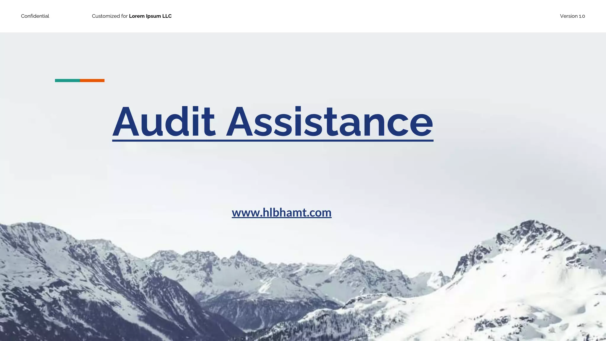 Audit Assistance.pptx
