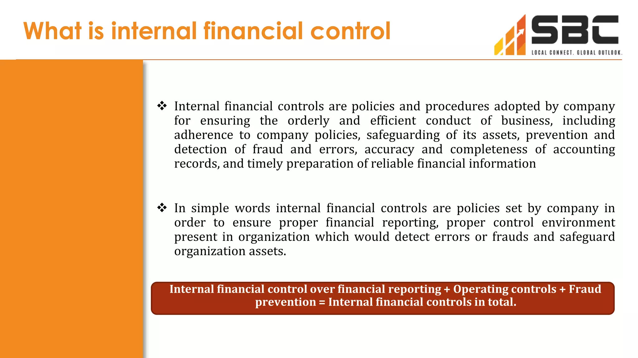 Audit _ Assurance - Internal Financial Controls (IFC).pdf