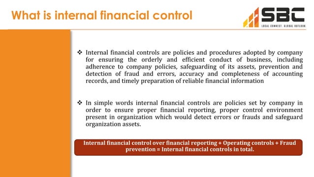 Audit _ Assurance - Internal Financial Controls (IFC).pdf