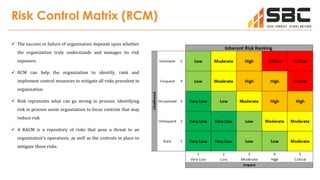 Audit _ Assurance - Internal Financial Controls (IFC).pdf