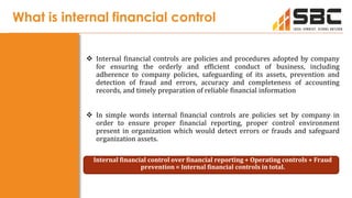 Audit _ Assurance - Internal Financial Controls (IFC).pdf