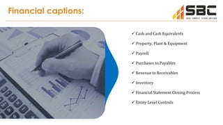 Audit _ Assurance - Internal Financial Controls (IFC).pdf