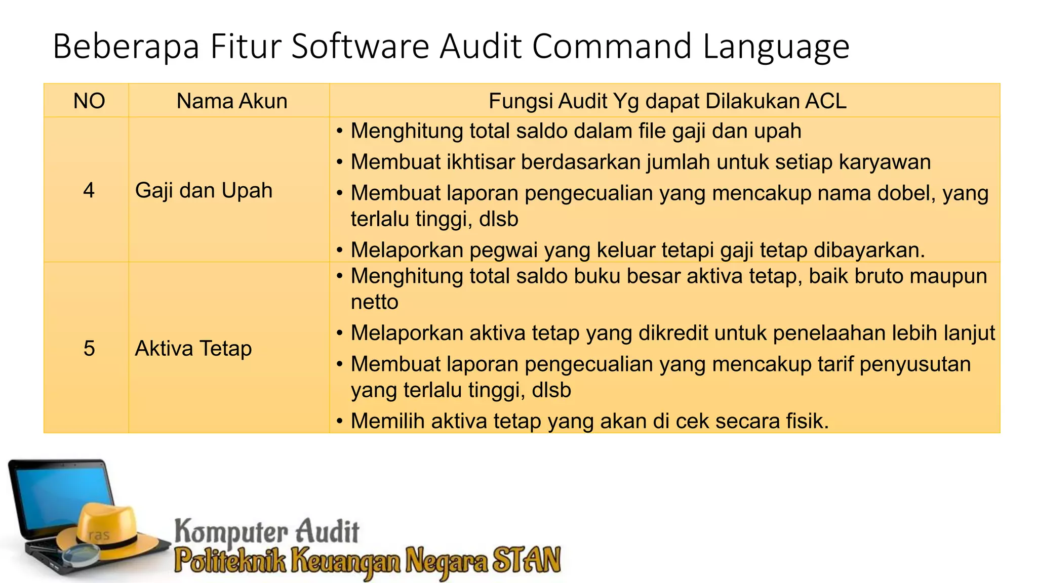 Audit berbasis komputer | PDF