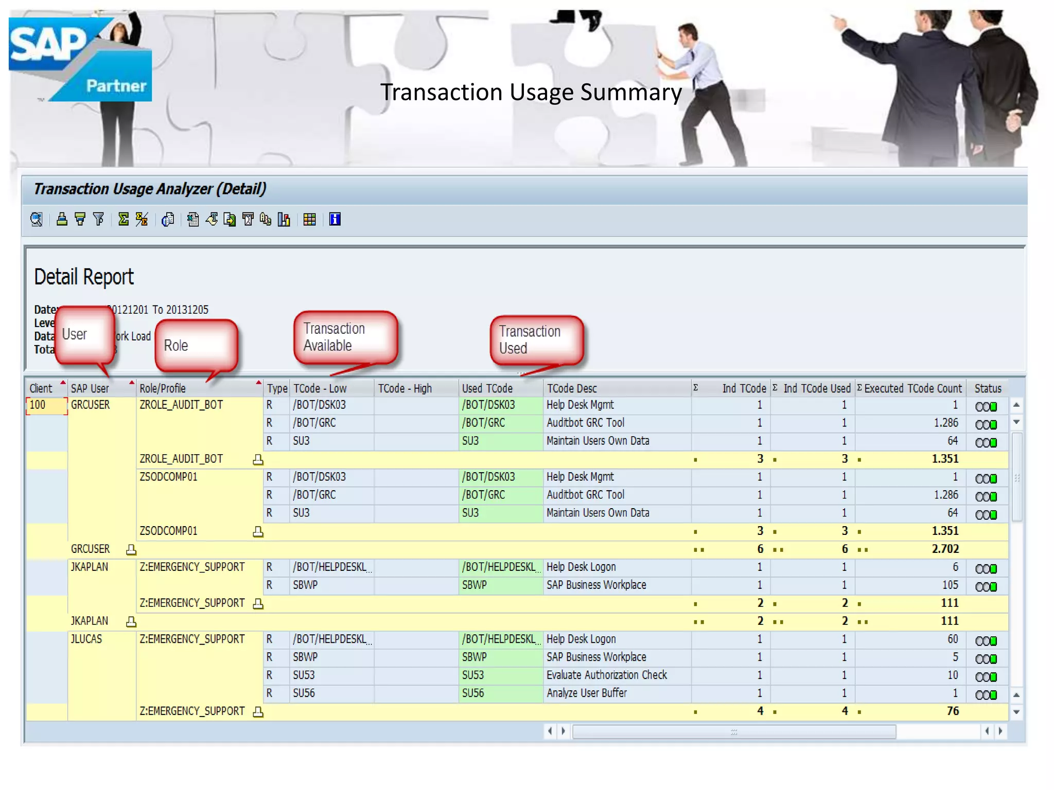 SAP License Audit Report | PPTX