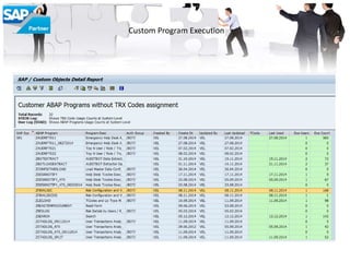 SAP License Audit Report | PPTX