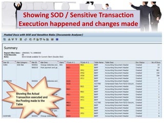 SAP License Audit Report | PPTX