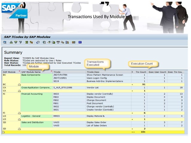 SAP License Audit Report | PPT