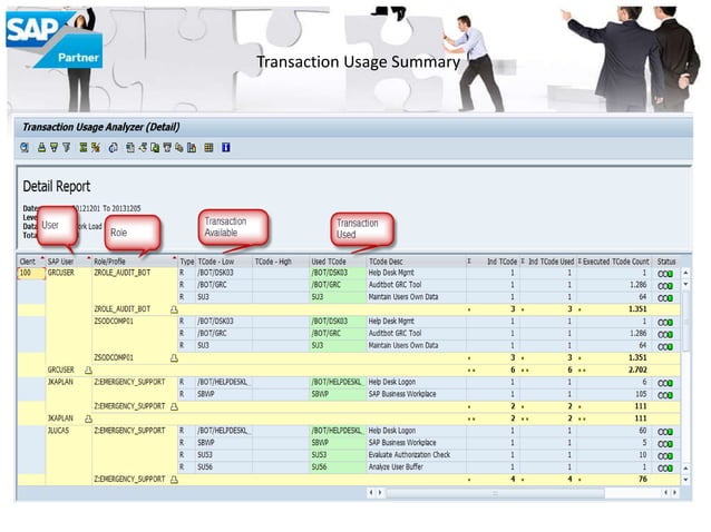 SAP License Audit Report | PPT