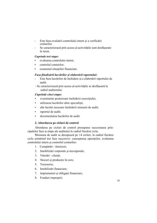 Audit brosura albastra | PDF