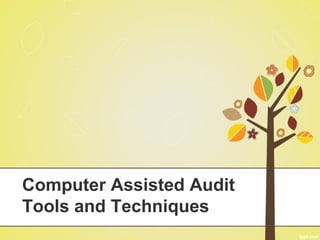 COMPUTER ASSITED AUDIT TOOLS AND TECHNIQUES | PPT