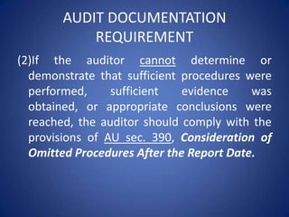 Audit Documentation Presentation | PPTX