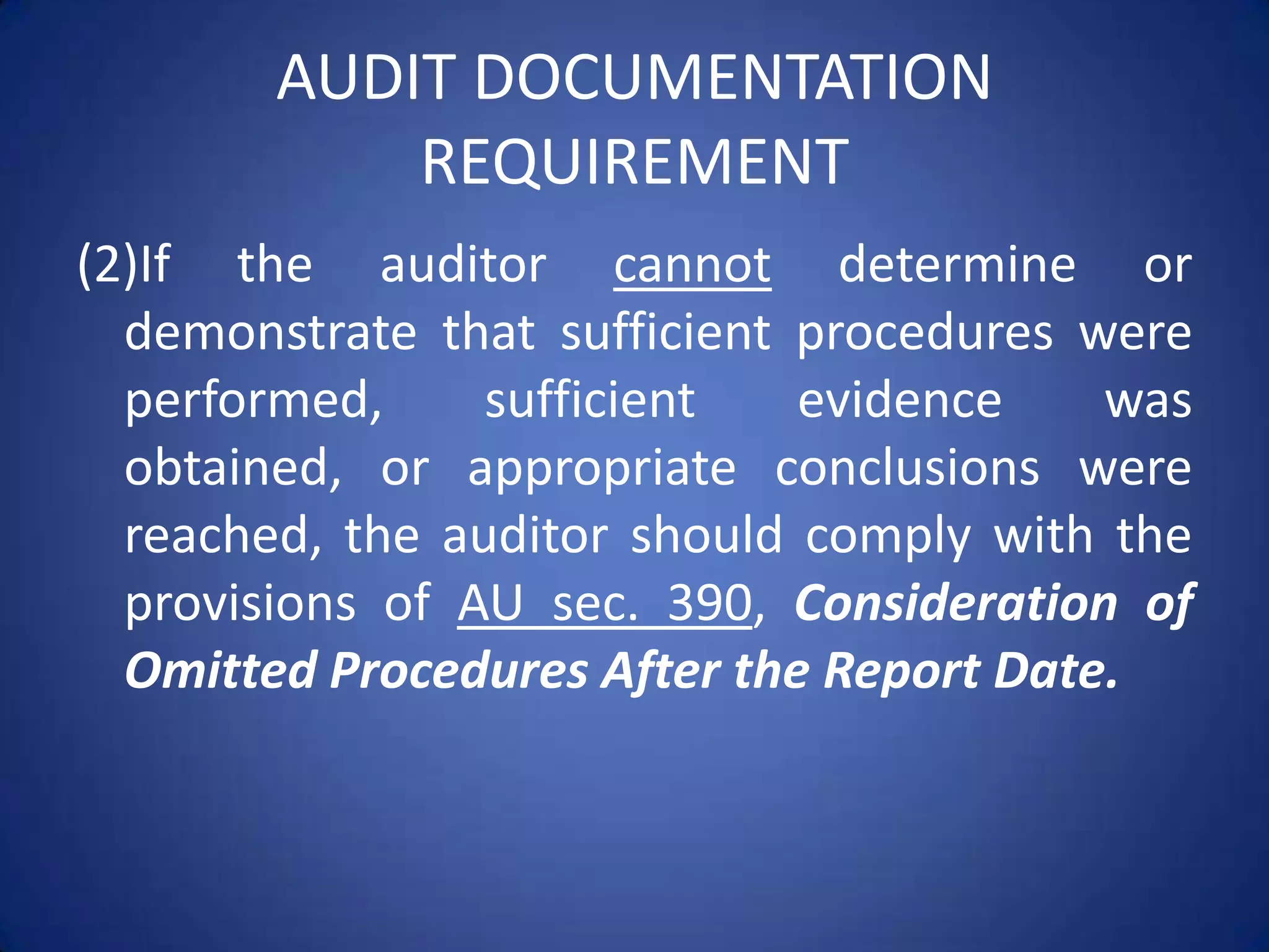 Audit Documentation Presentation | PPTX