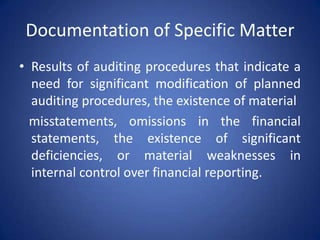 Audit Documentation Presentation | PPTX