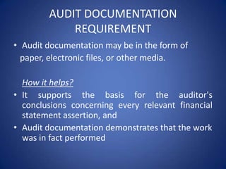 Audit Documentation Presentation | PPTX