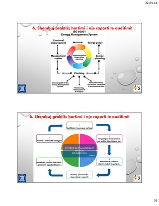 Auditimi i energjise | PDF