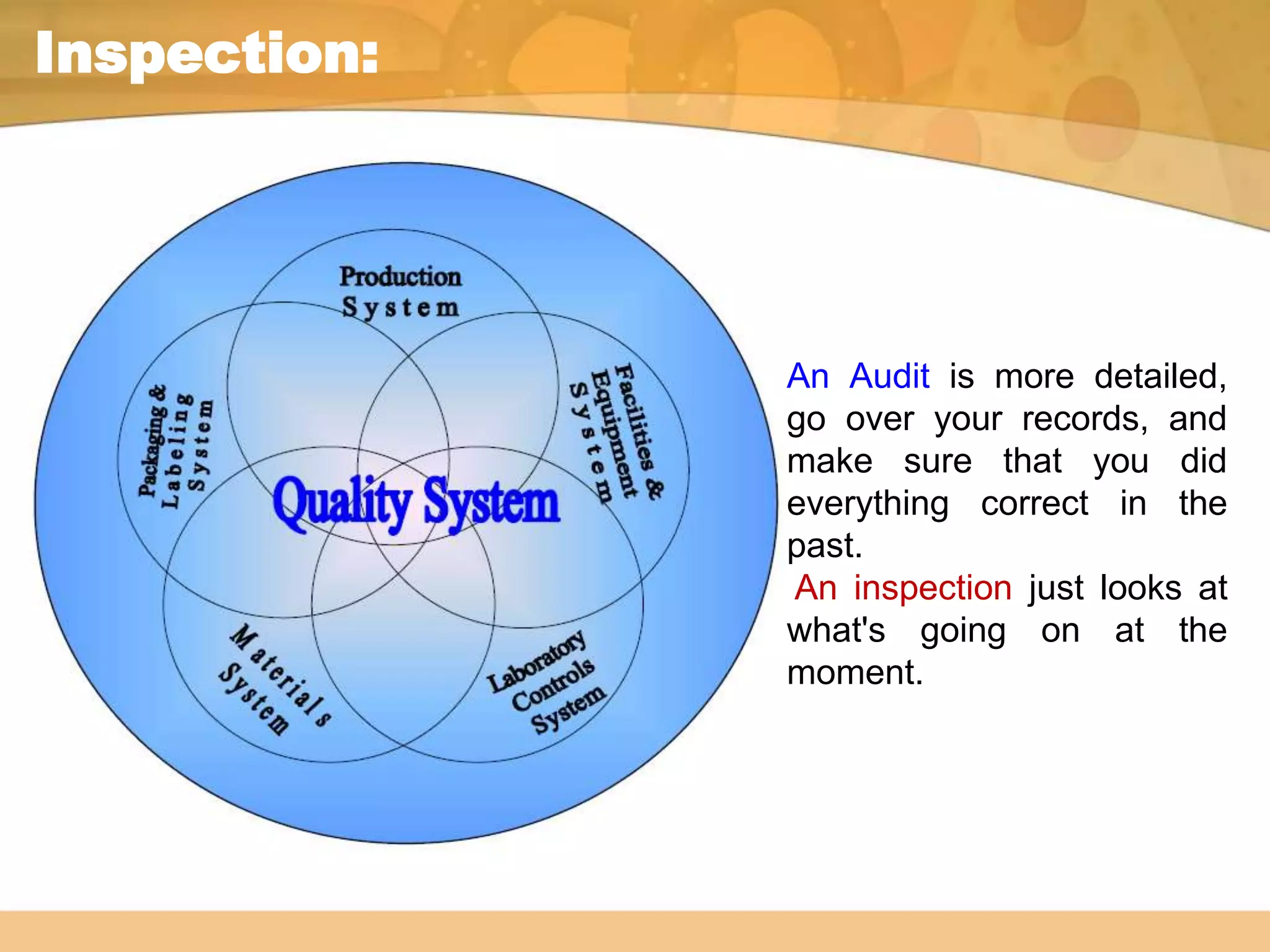 Auditing and inspection | PPTX