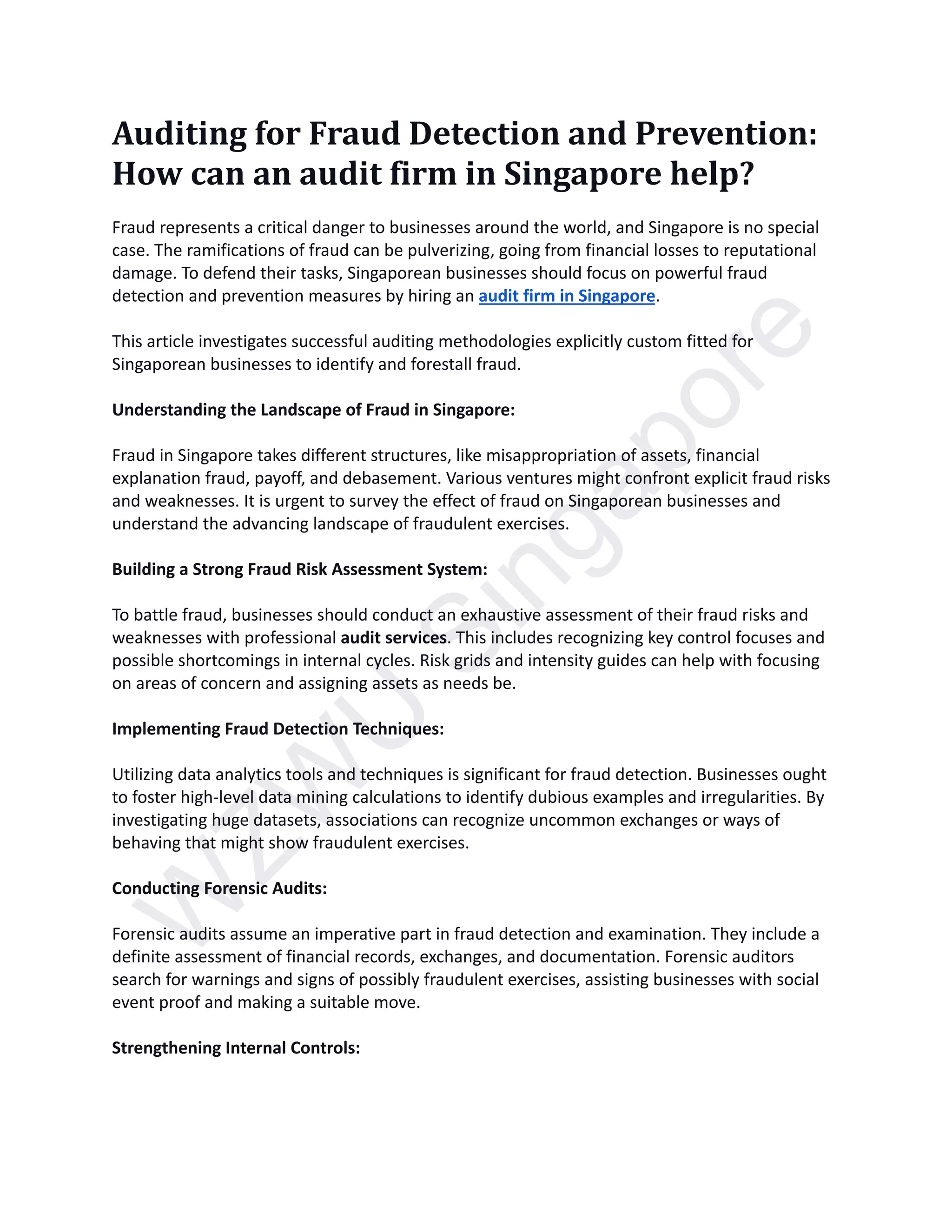 Auditing for Fraud Detection and Prevention How can an audit firm in Singapore help | PDF ...