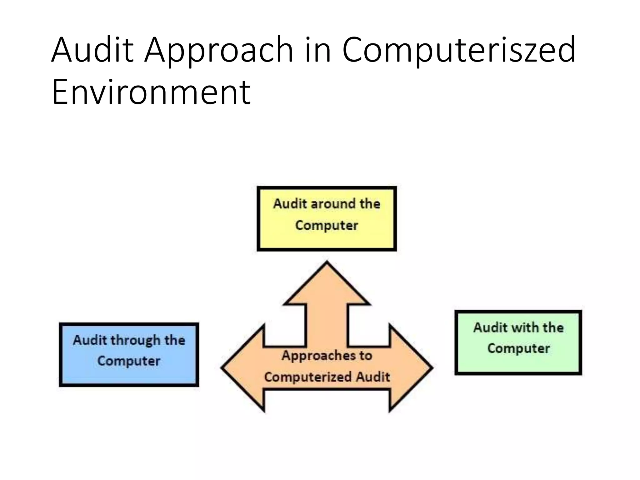 Auditing in computerized environment.pptx