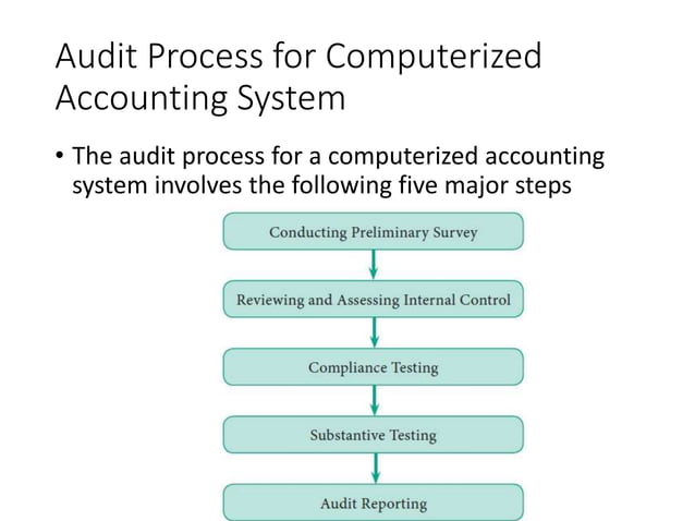 Auditing in computerized environment.pptx