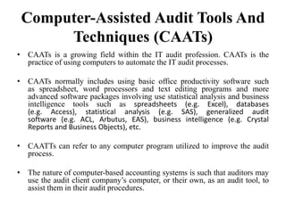 Auditing in Computerized Environment | PPTX