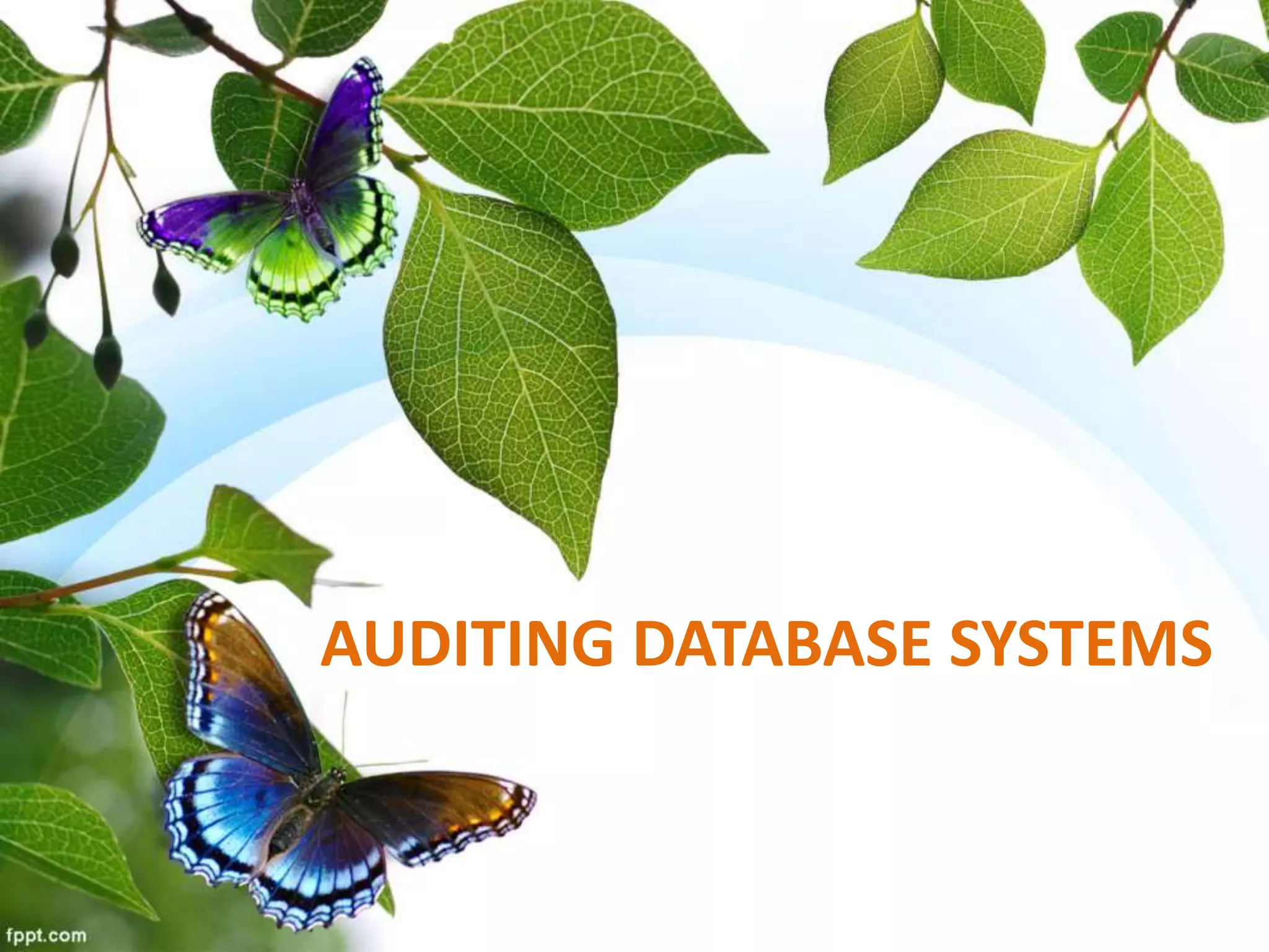 AUDITING DATABASE SYSTEMS | PPTX