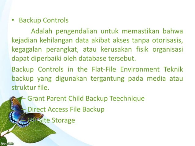 Auditing Database Systems Ppt