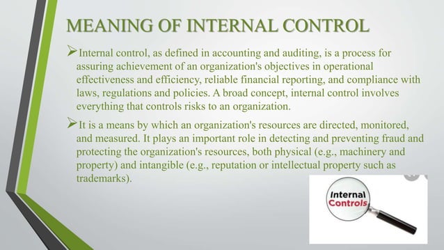 Auditing procedure & internal control system | PPT