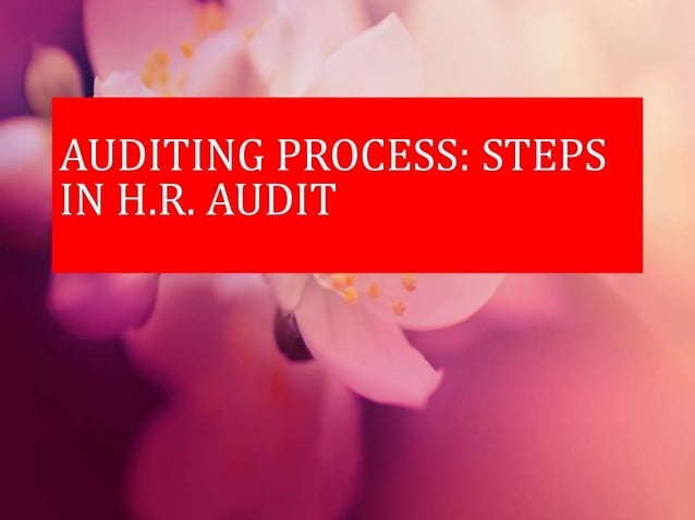 Personnel Audit: Auditing process | PPT
