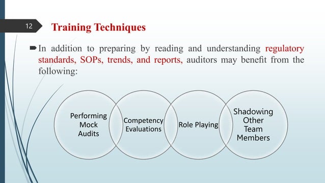 Audit Auditing Strategies Pptx