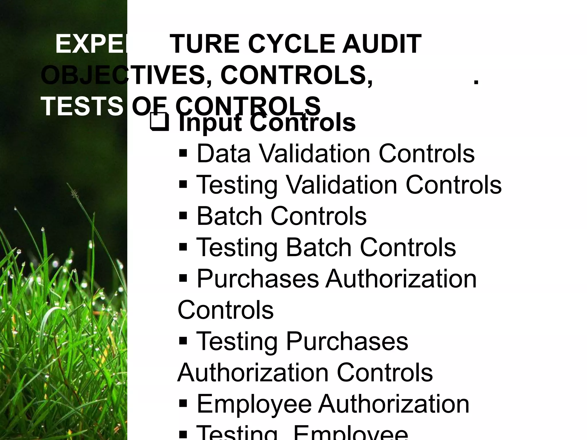 Auditing the expenditure cycle | PPTX