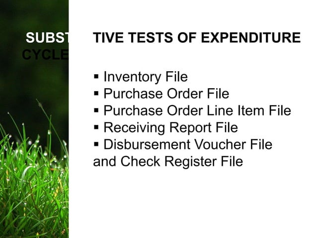 Auditing the expenditure cycle | PPTX | Business Accounting & Finance ...