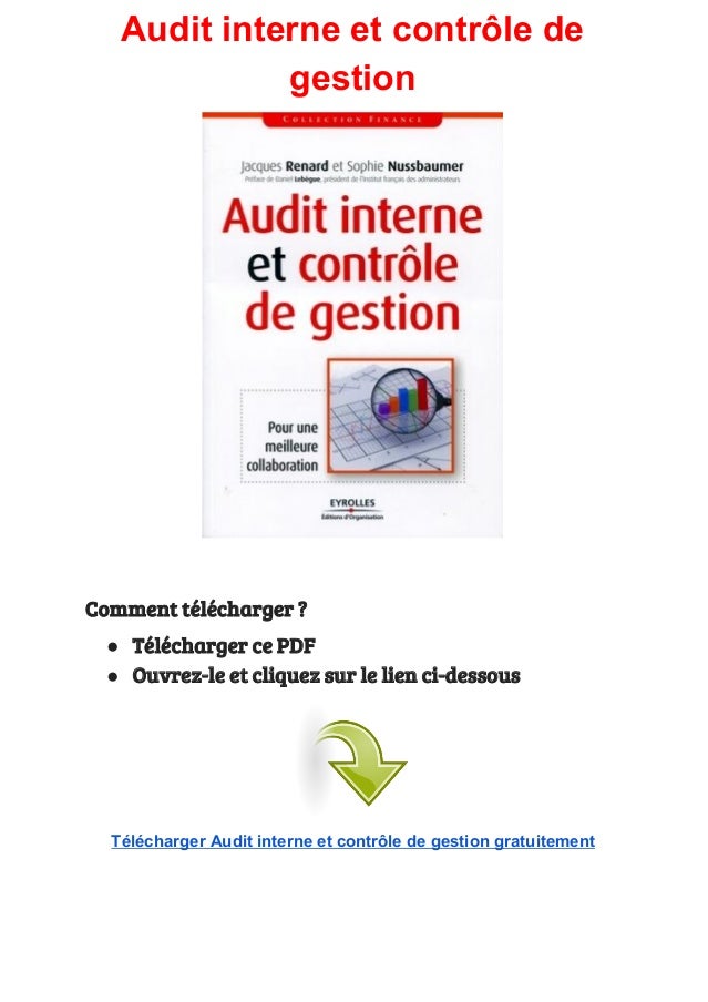 audit et controle de gestion cours pdf